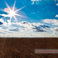 Evi Wusk – Start with wonder. Write into what’s next.